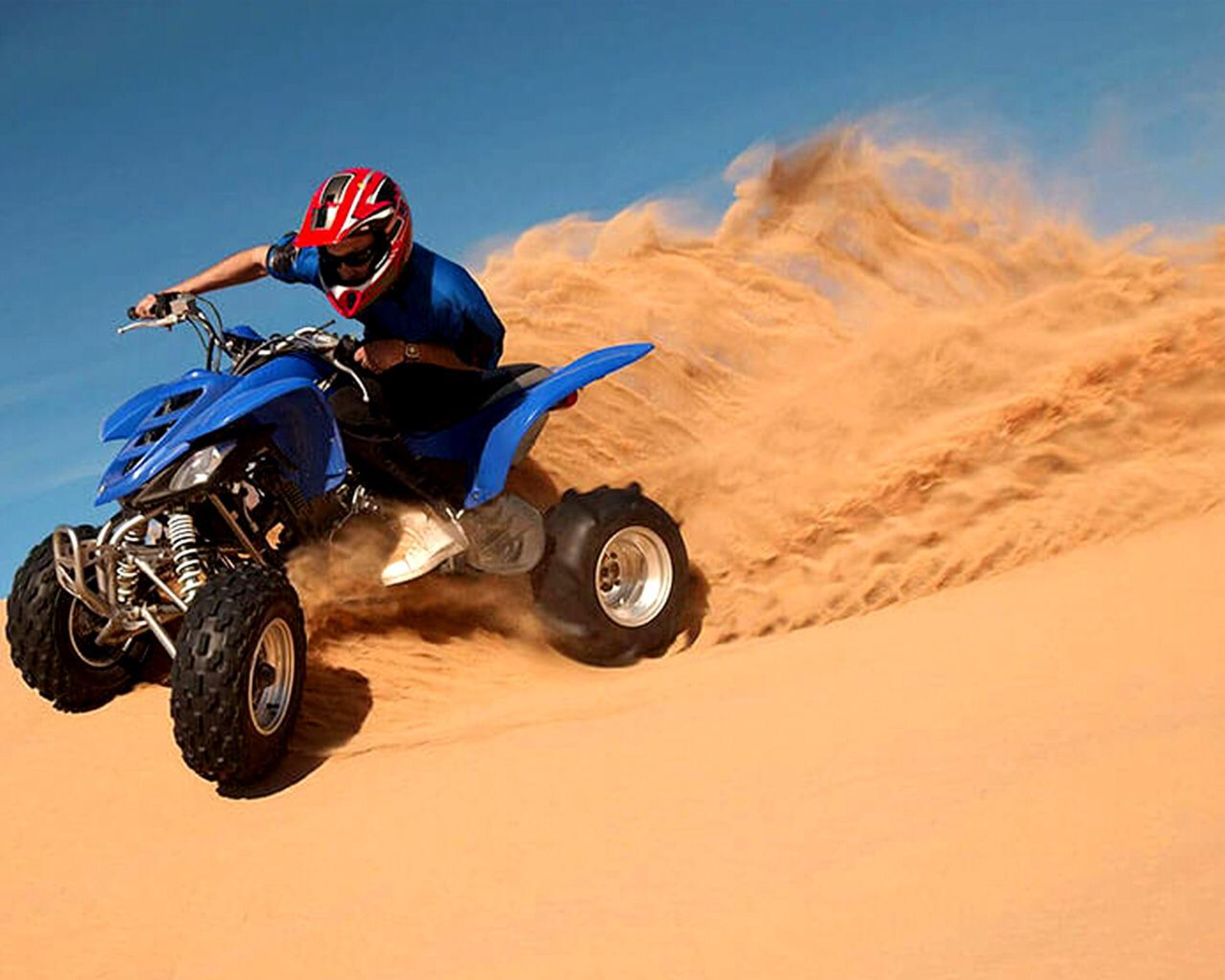 Safari bike store